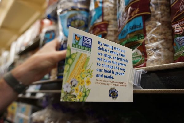 25 Creative Examples of Shelf Talkers for Retail Stores - Dor